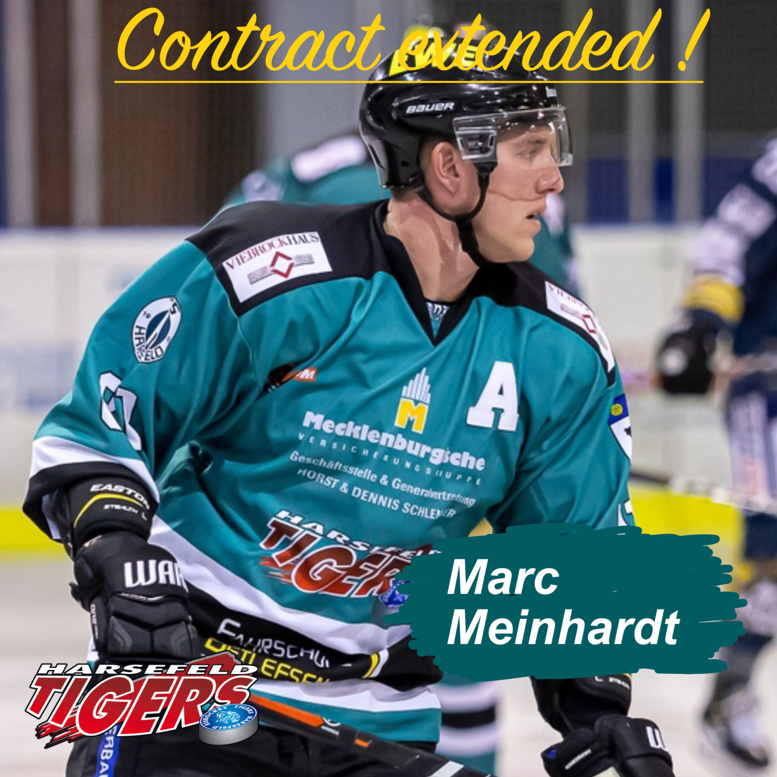 Marc Meinhardt #81 verlängert um eine weitere Saison - TuS Harsefeld Tigers